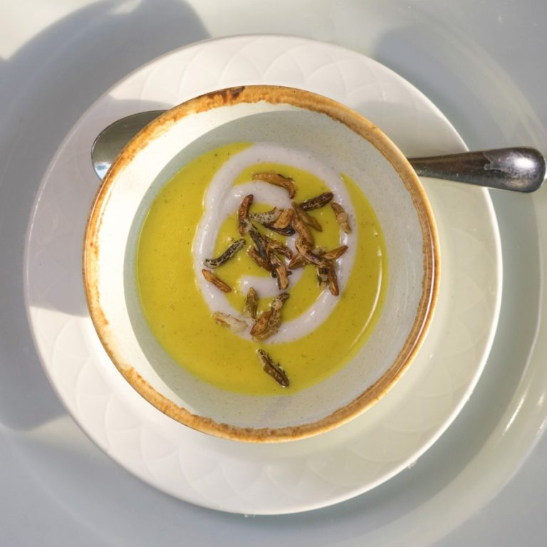 Tasting Menu at The Moat House, Acton Trussell | Moorlands Eater