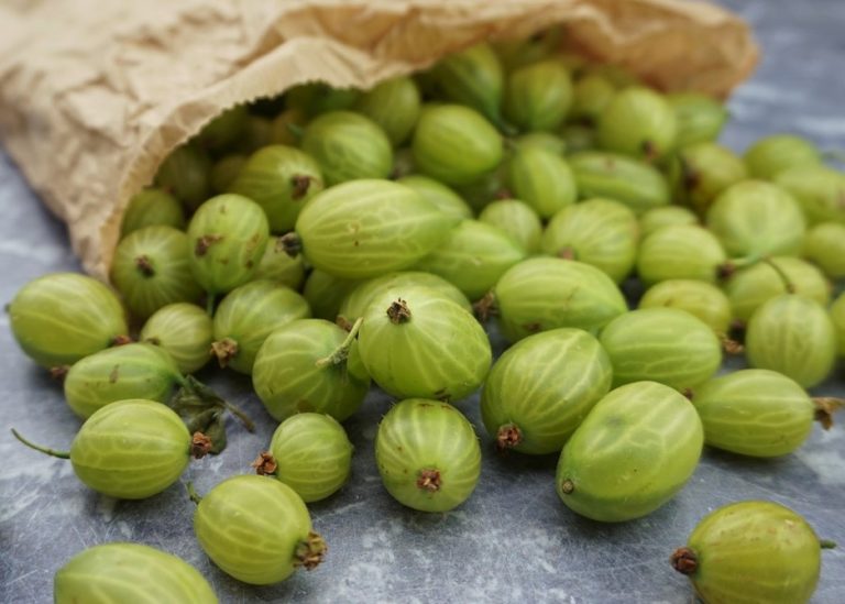 Gooseberry Jam | Homemade Preserves | Moorlands Eater