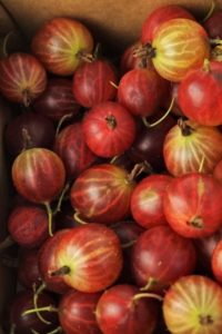 Overnight Oats with Gooseberry Compote | Recipes | Moorlands Eater